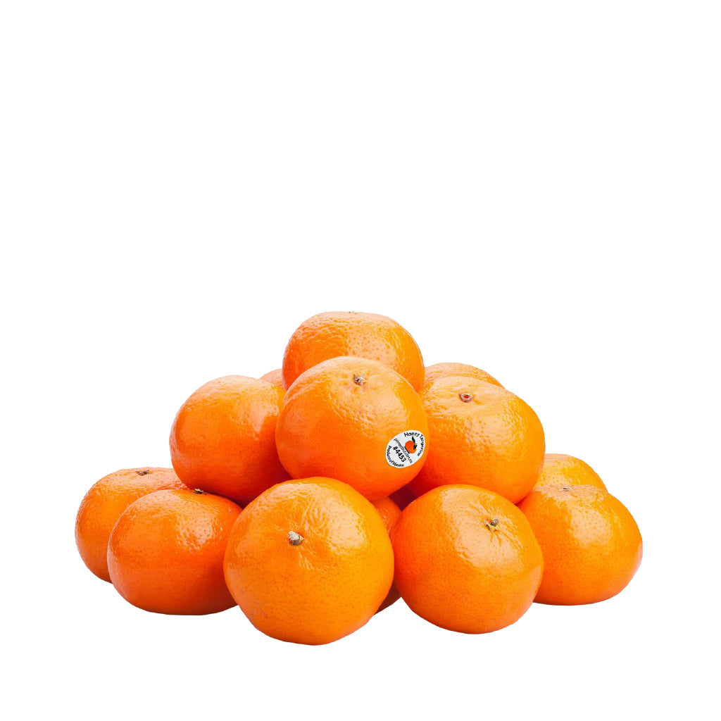 Murcott Mandarin – H Mart Mall Toronto