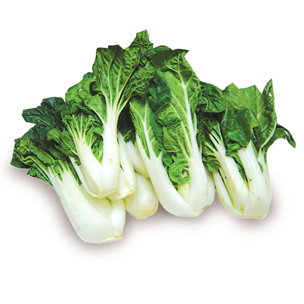 Baby Bok choy Tip – H Mart Mall Toronto