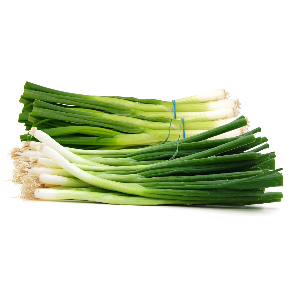 Green Onion – H Mart Mall Toronto