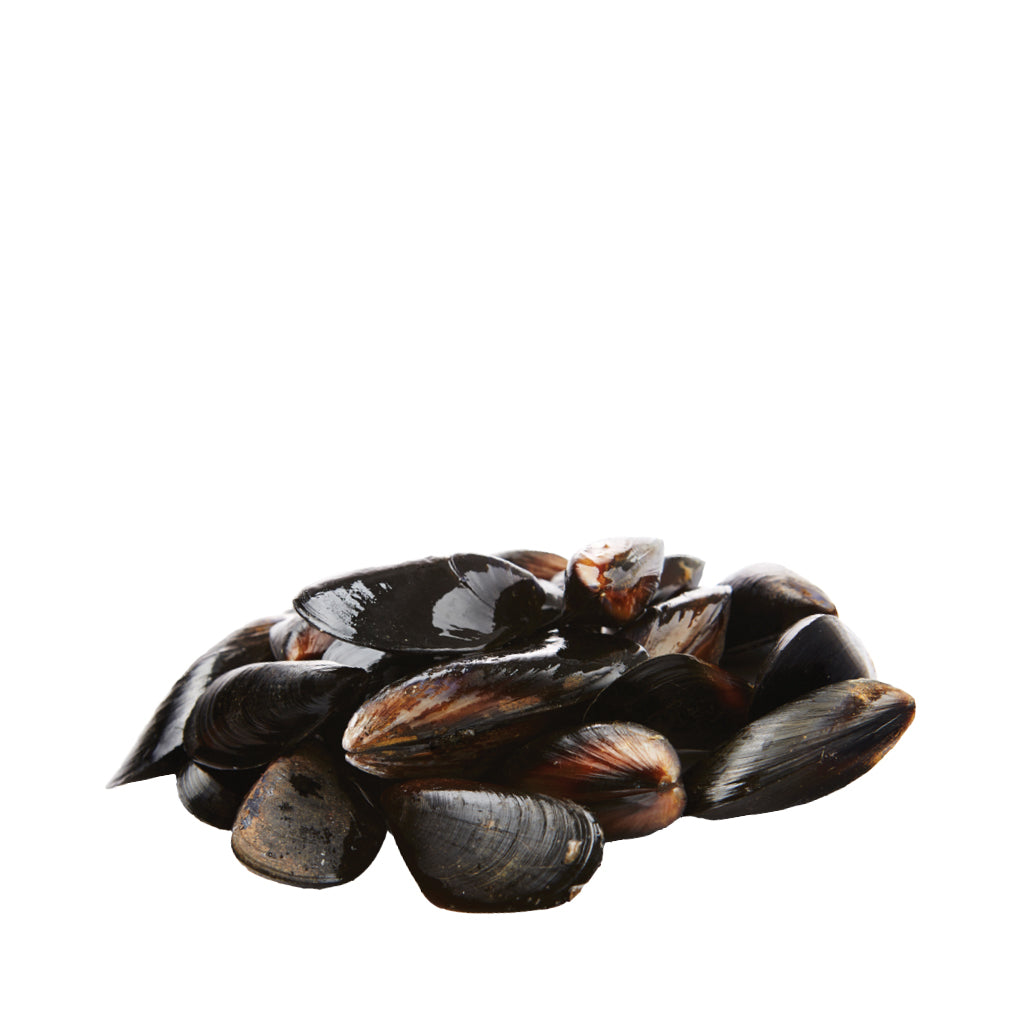 Mussel 1 Bag – H Mart Mall Toronto