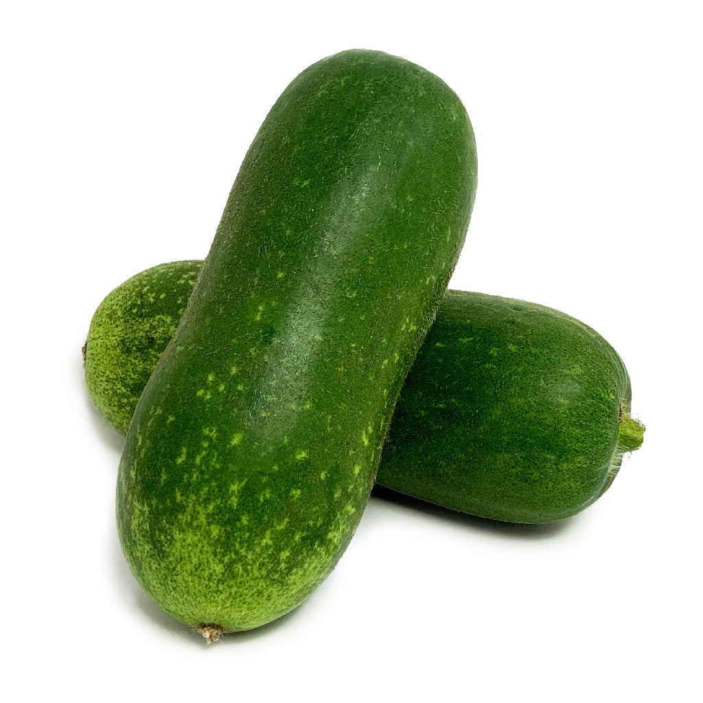 Fuzzy Melon – H Mart Mall Toronto