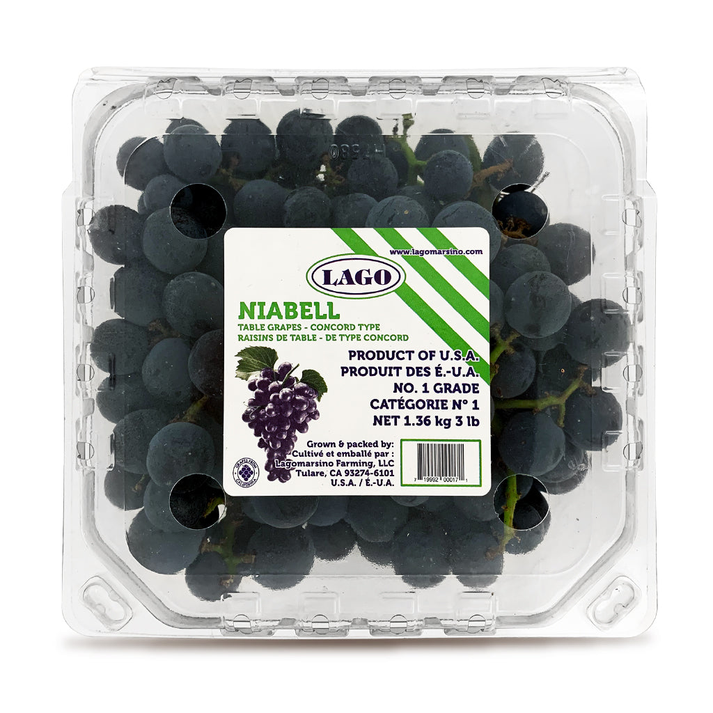 Cambell Lago Grapes 3LB PACK – H Mart Mall Toronto